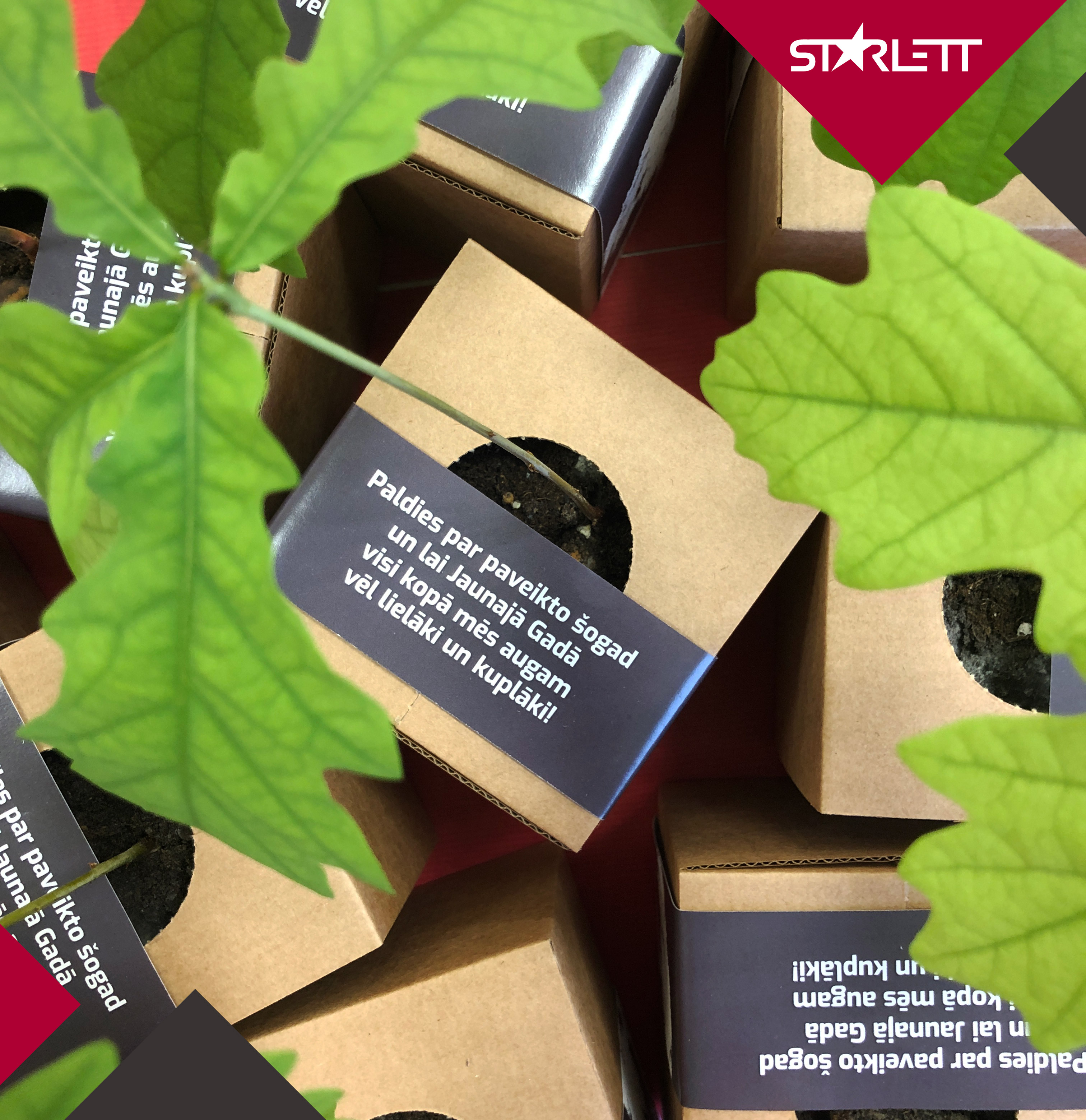 May we grow bigger and stronger together in the New Year! - Company ...